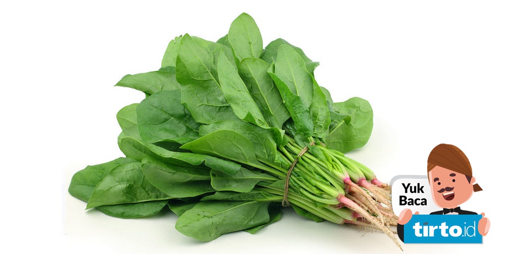 Resep Sayur Bayam untuk Sahur yang Mudah dan Praktis