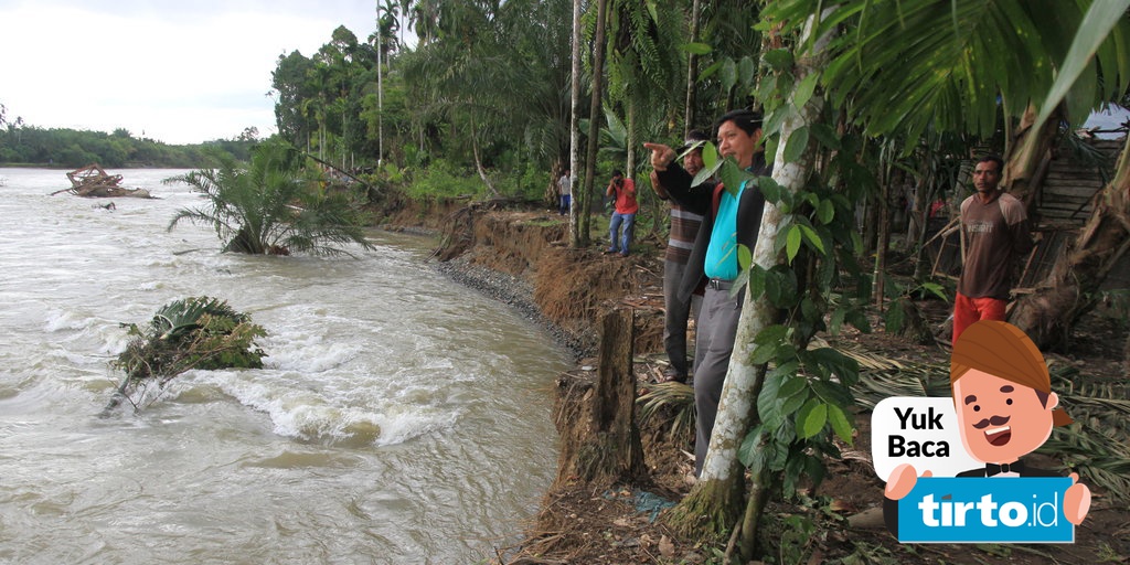 Apa Itu Erosi: Definisi, Penyebab, Dampak & Macam-macam Jenisnya