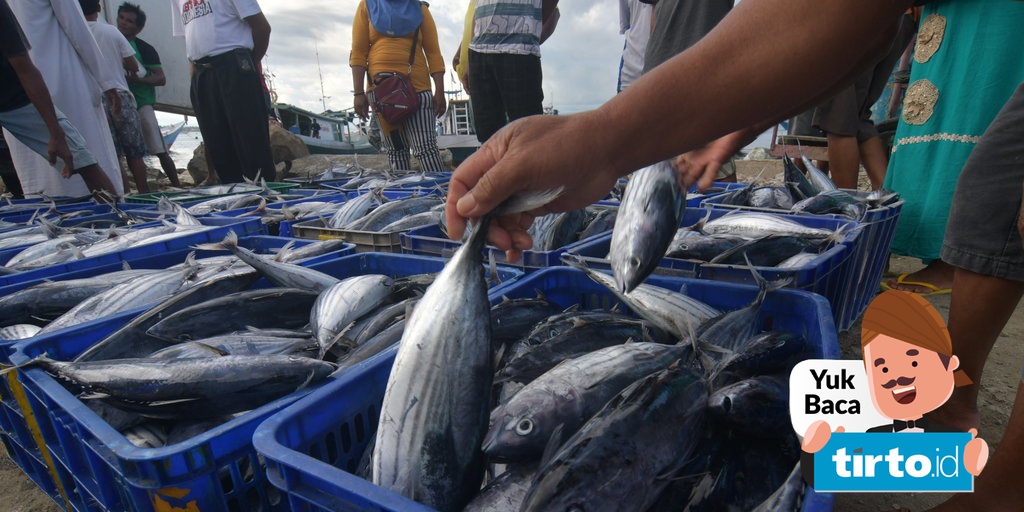 Regulasi Penangkapan Ikan Untungkan Perusahaan, Rugikan Nelayan