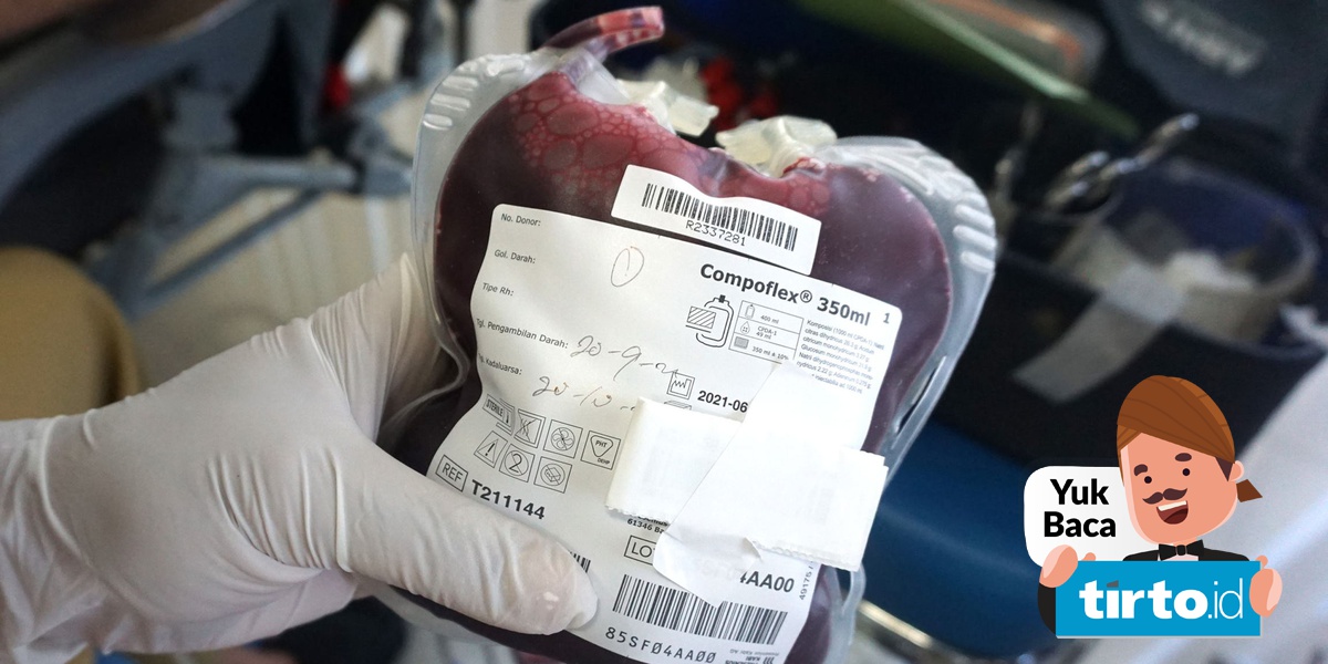 6 Syarat Donor Darah dan 6 Cara Daftarnya di PMI