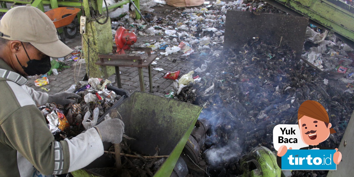 Apa Itu Bioenergi yang Menjadi Opsi Sumber Energi Terbarukan?