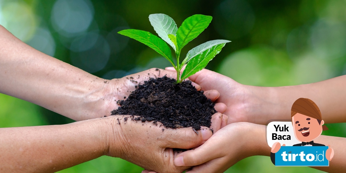 Tanggal 10 Januari 2023 Hari Apa? Ada Gerakan Sejuta Pohon