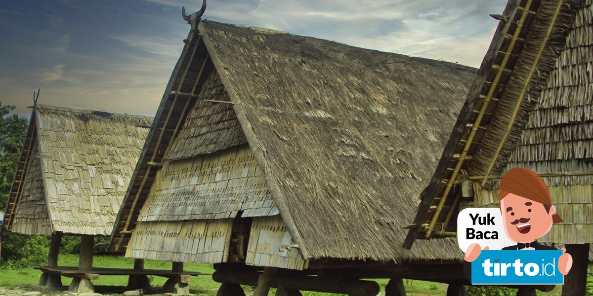 Mengenal Arsitektur Tambi Rumah Adat Sulawesi Tengah & Fungsinya
