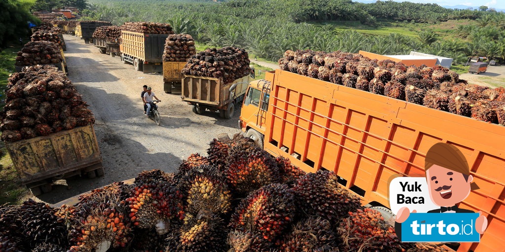 Produk Sawit Astra Argo Lestari Terancam Diblokir Nestle