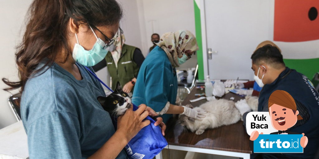 Apa Efek Rabies pada Manusia dan Kenali Gejala-Gejalanya