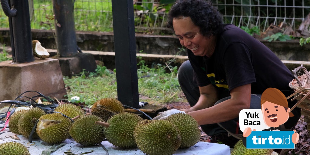 Manfaat Buah Durian dan Cara Memilih yang Bagus Serta Lezat