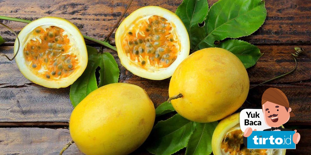 Manfaat Buah Markisa, Kandungan Nutrisi, dan Tips Mengonsumsinya