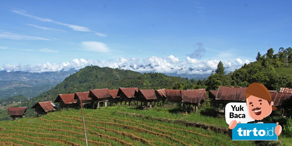 Contoh Desa Swadaya, Swakarya, dan Swasembada di Indonesia