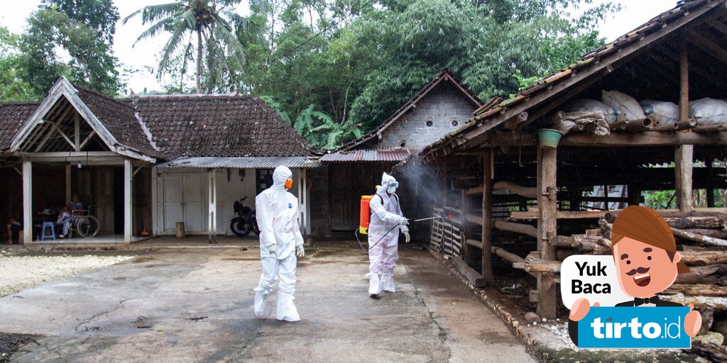 Kemenkes: Antraks di Gunungkidul sudah Tertangani Tanpa KLB