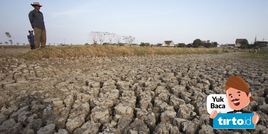 BNPB: 2 Desa di Karawang Dilanda Kekeringan & Krisis Air Bersih
