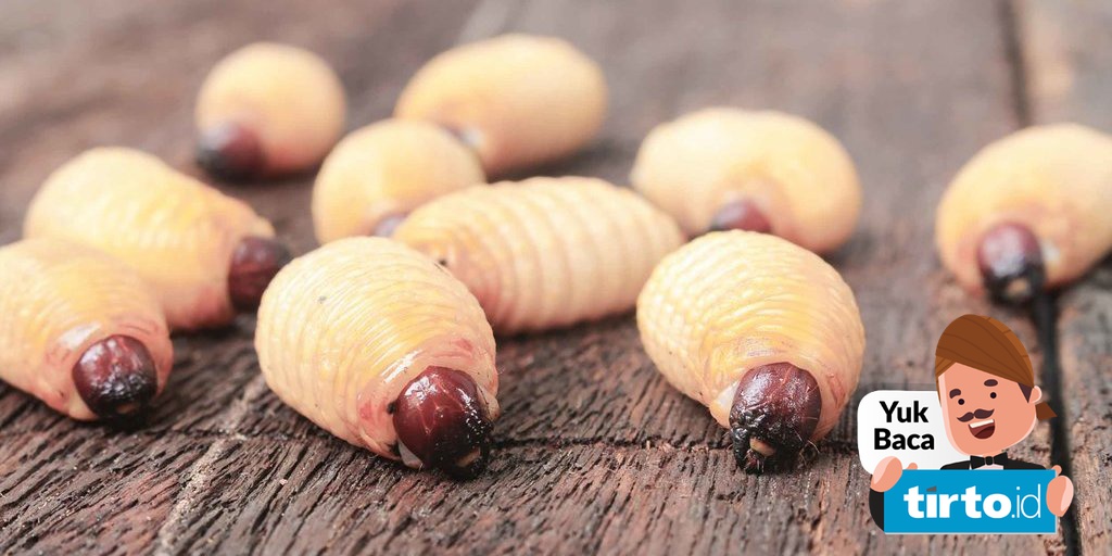 Apa Saja Kandungan dalam Ulat Turi, Apakah Bisa Dimakan?