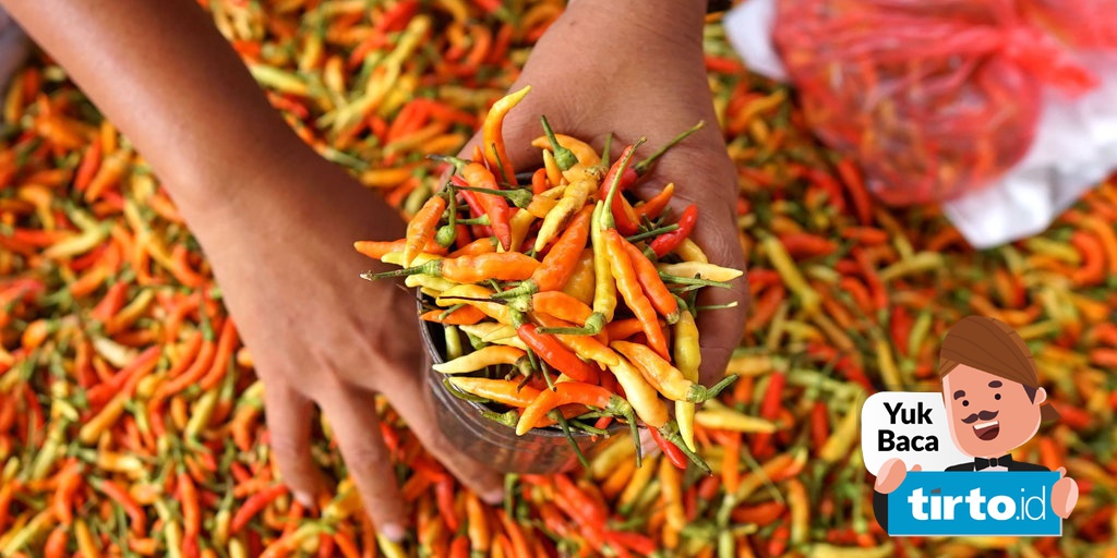 Bapanas Ungkap Biang Kerok Mahalnya Harga Cabai di Pasaran