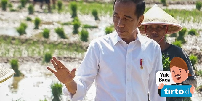 Jokowi Cerita Awal Mula Bantuan Ganti Rugi ke Petani Gagal Panen